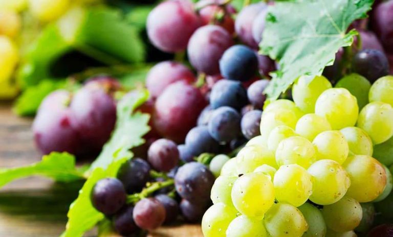 30-те най-известни пещери в България! - Югозапад